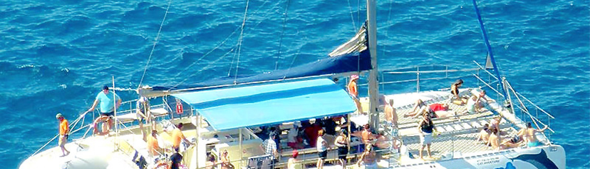 Mustcat Catamarán Excursion En Bateau 3 H | Tenerife