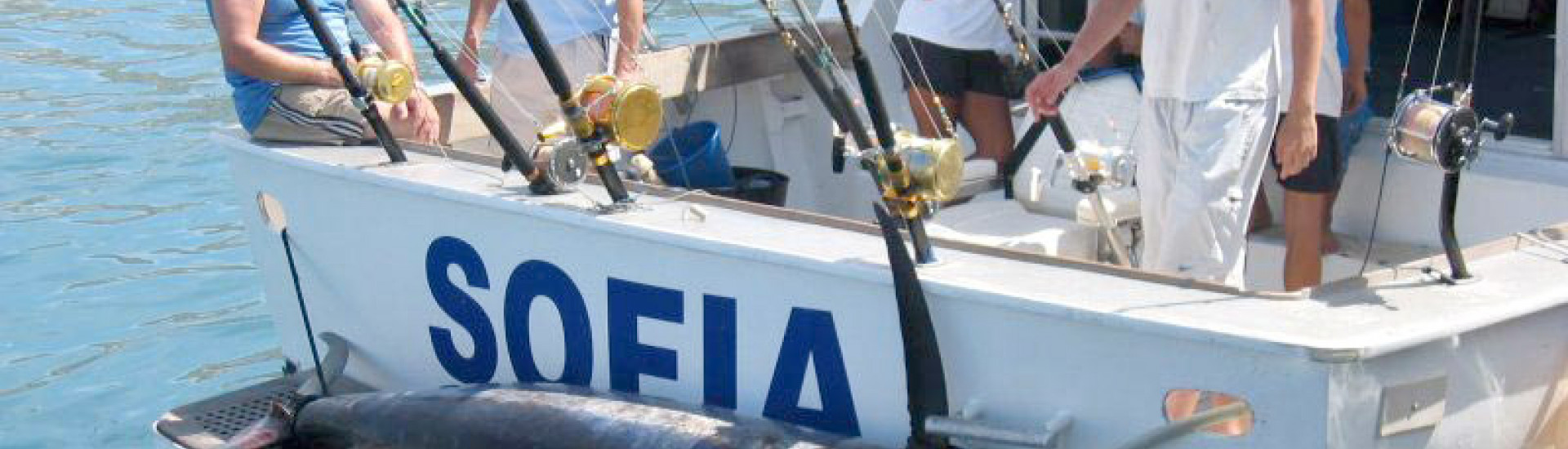 Yate Sofía Big Game Fishing Fisherman 4 Hrs | Tenerife